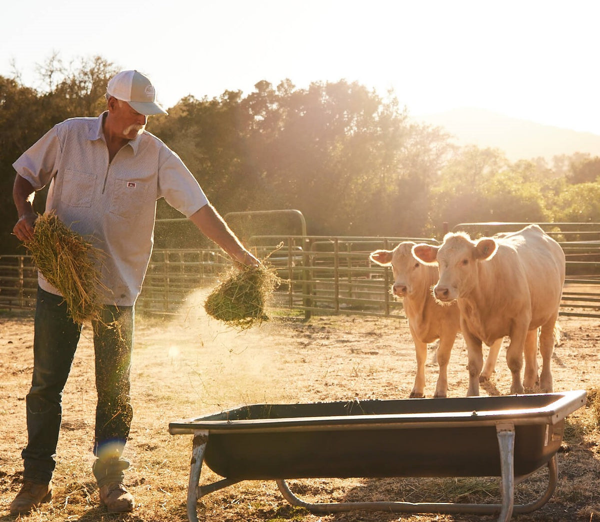 Ben Davis: Workwear & Work Clothes since 1935 – Ben Davis Co